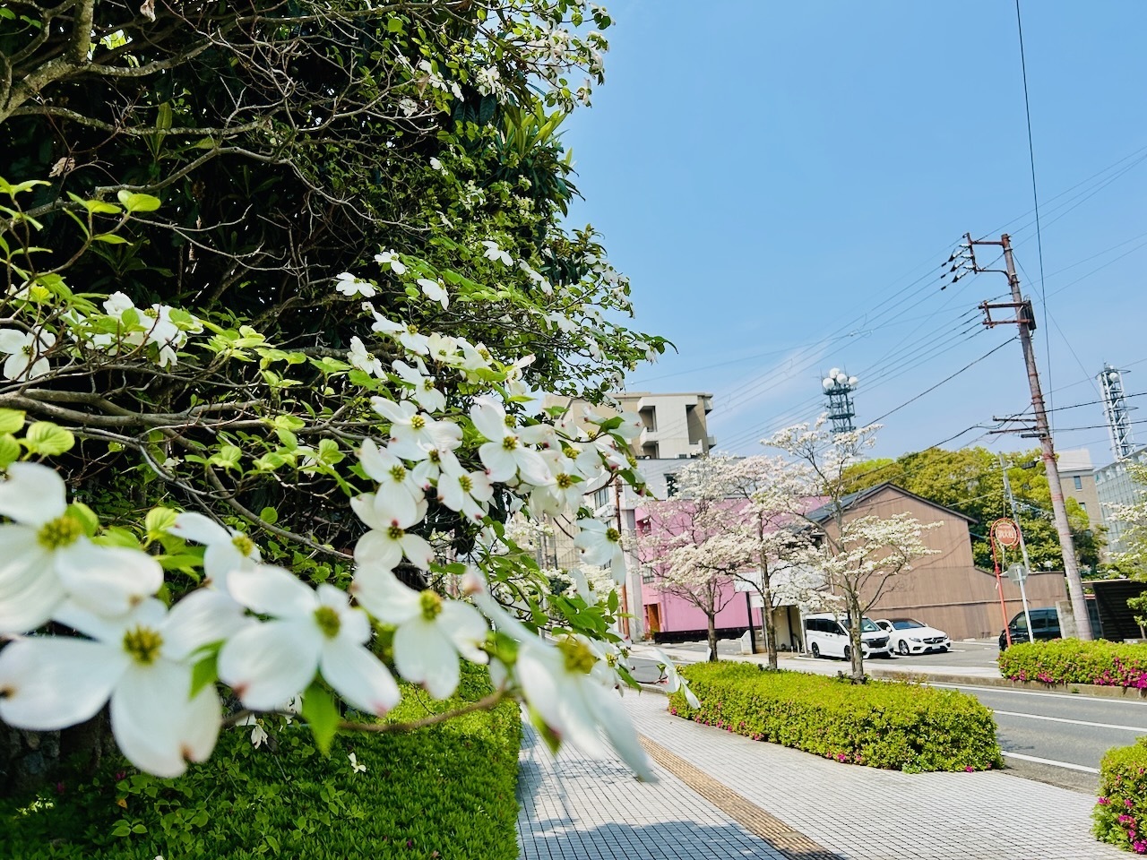 食べ過ぎランチバイキング: KURIのブログ3