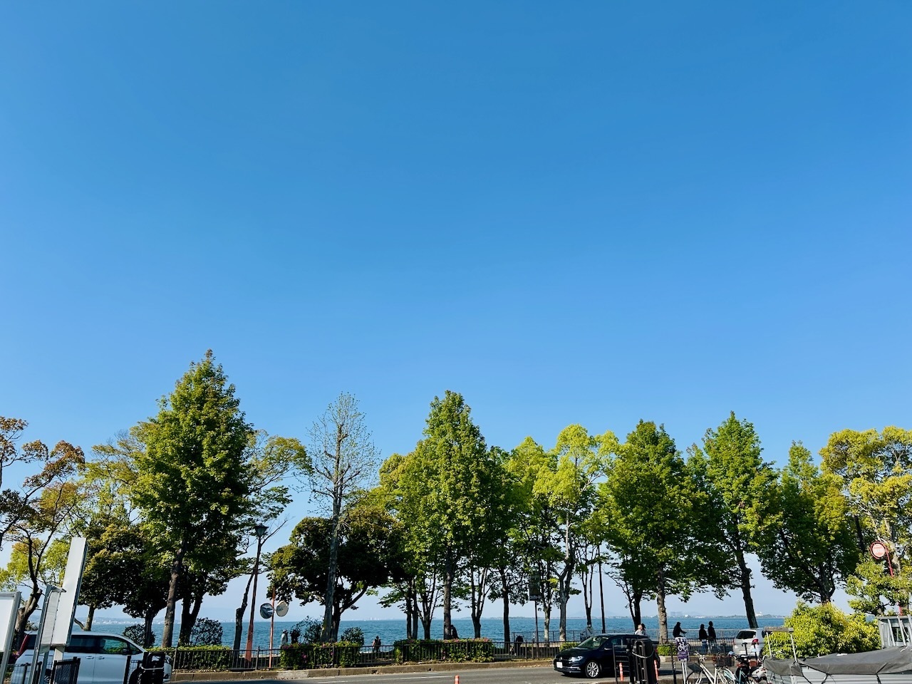 電池の処分: KURIのブログ3