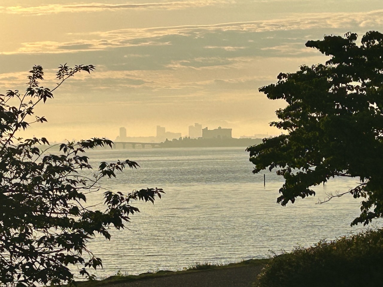 気持ちいい朝は: KURIのブログ3