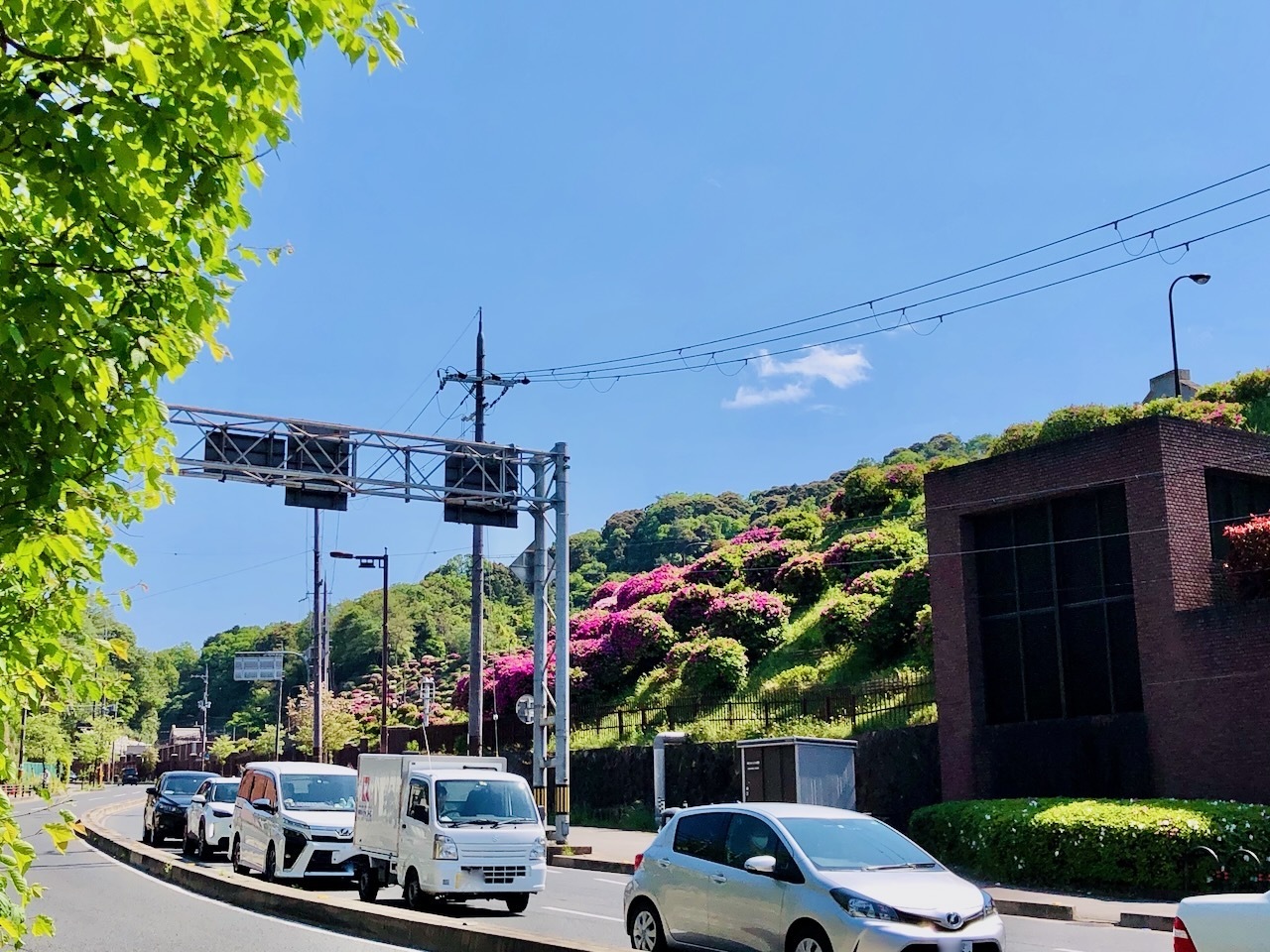 映画「花まんま」: KURIのブログ3