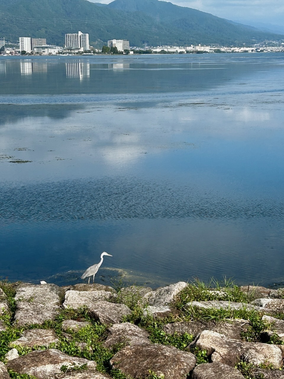 浜大津散歩: KURIのブログ3