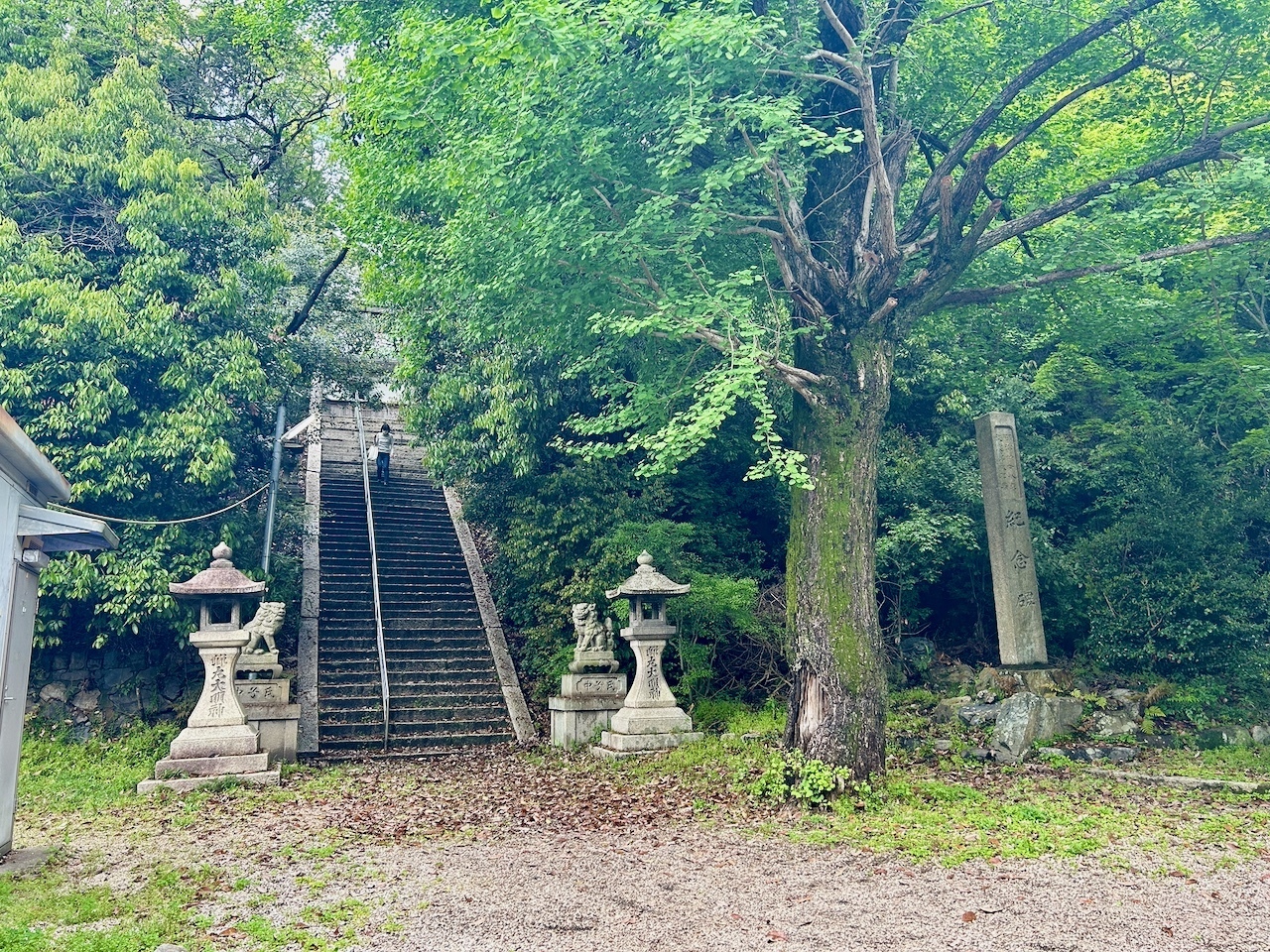 大谷駅から長等公園のはずが: KURIのブログ3