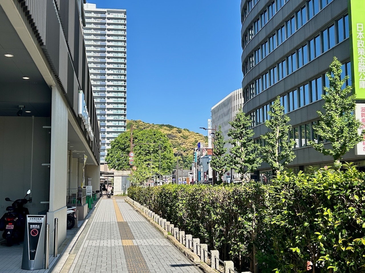 歩行者最強: KURIのブログ3