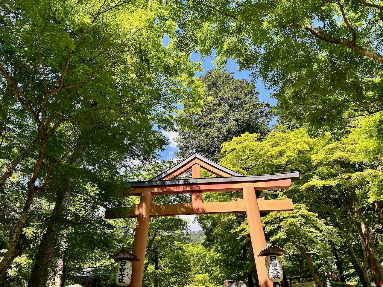 GWの日吉大社と延暦寺: KURIのブログ3